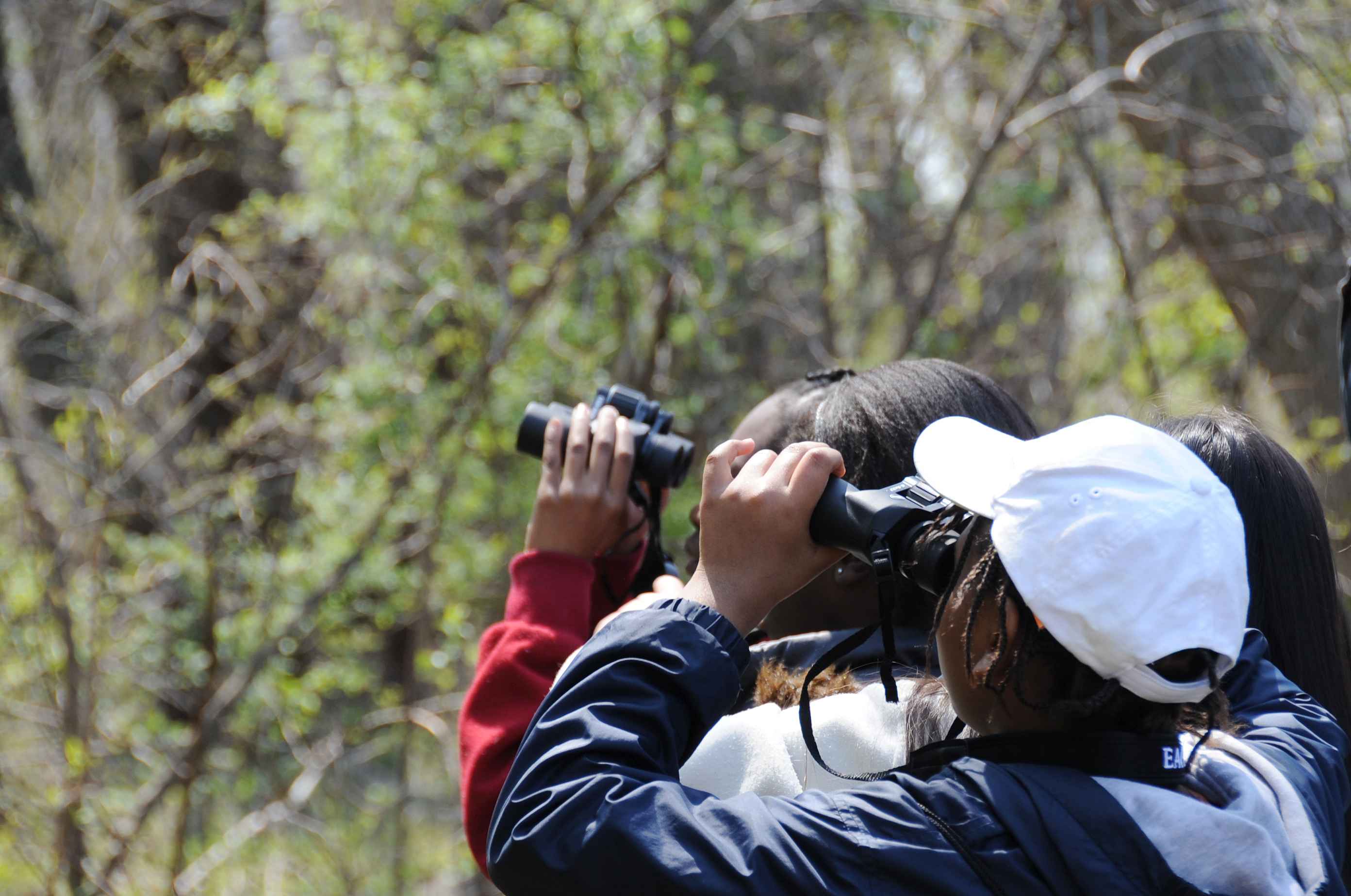 Bird watching sessions with The Urban Birder, David Lindo – HyPER ...